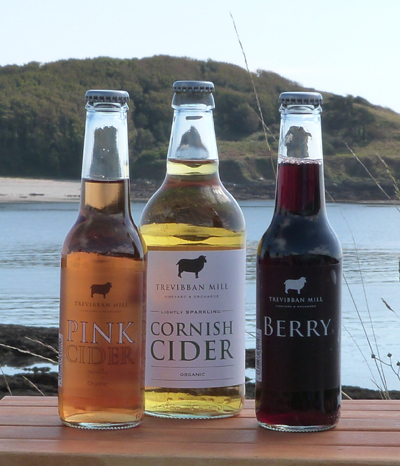 Trevibban Mill Cider - Purely Cornish for Cornish Hampers