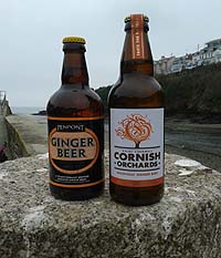 Cornish Alcoholic Ginger Beer's 1 - Purely Cornish for Cornish Hampers