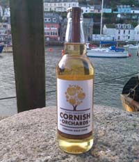 Cornish Orchards Gold Sparkling Cider 50cl 1 - Purely Cornish for ...